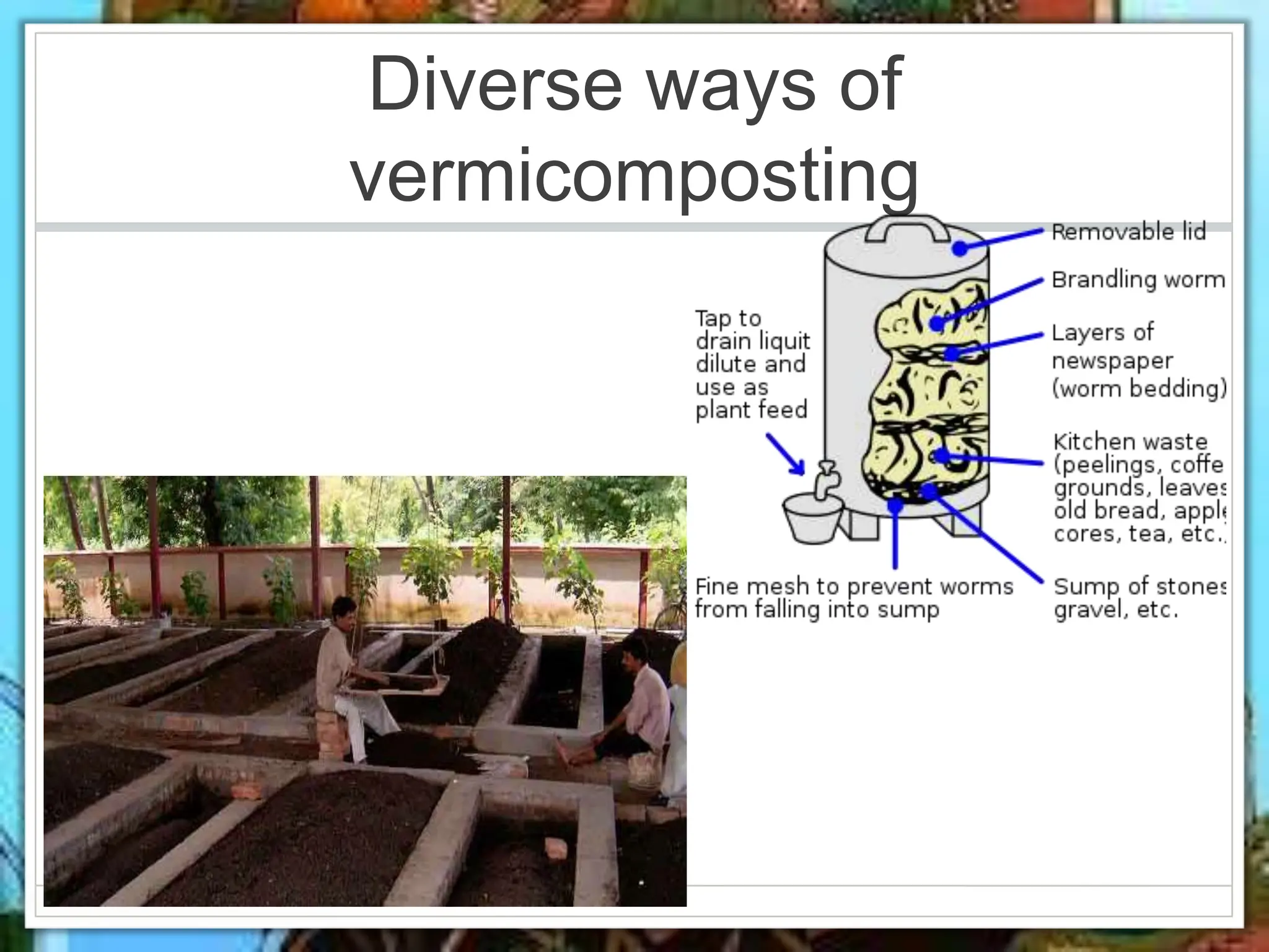 Vermicomposting of earthworms and the culture | PPT