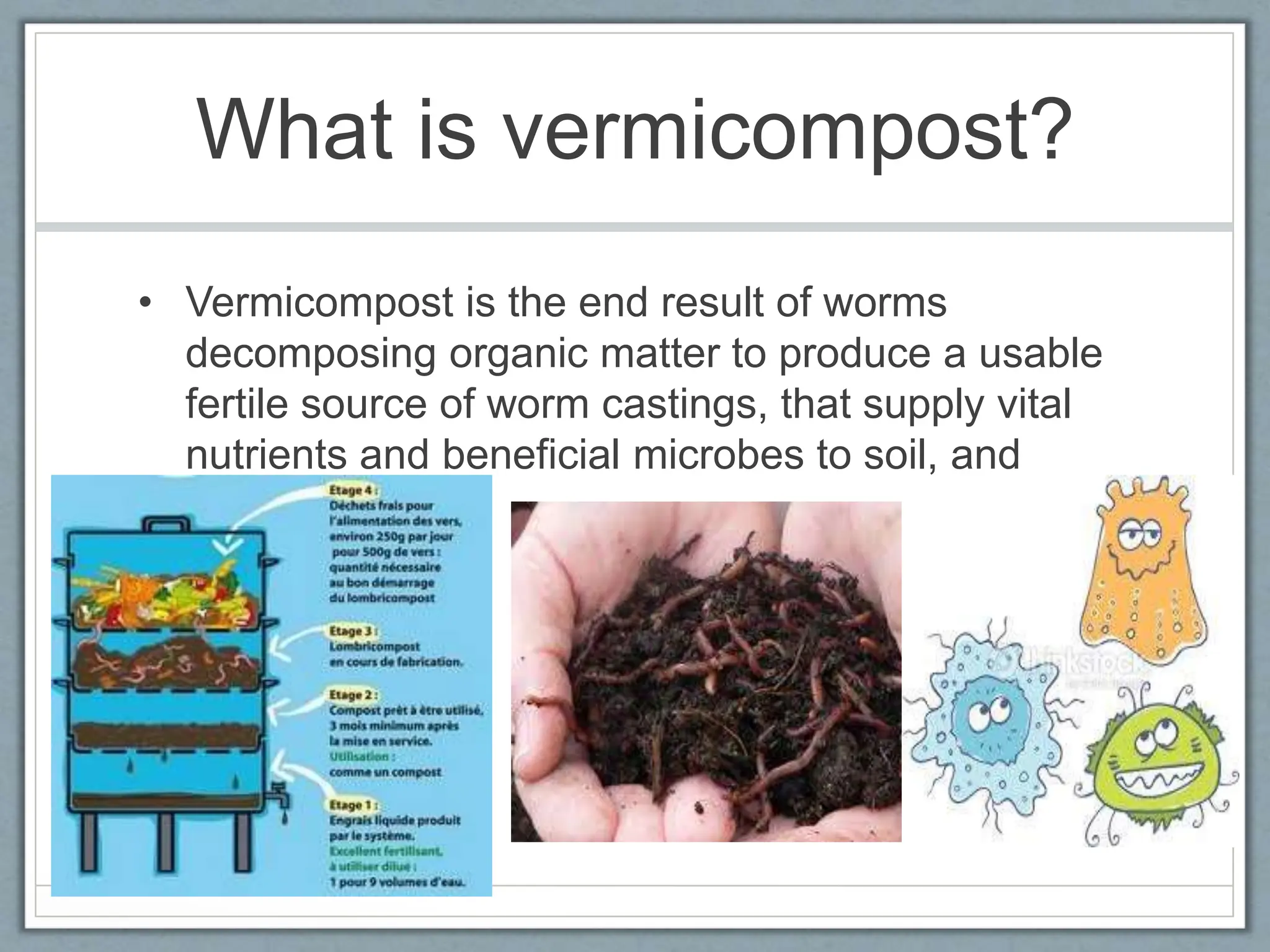 Vermicomposting of earthworms and the culture | PPT