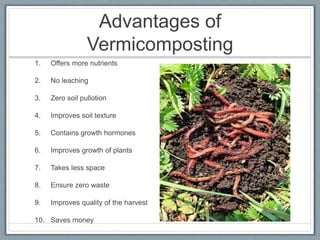 Vermicomposting of earthworms and the culture | PPT
