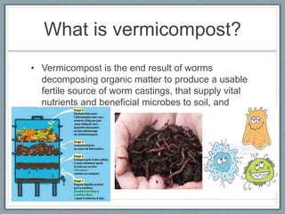 Vermicomposting of earthworms and the culture | PPT