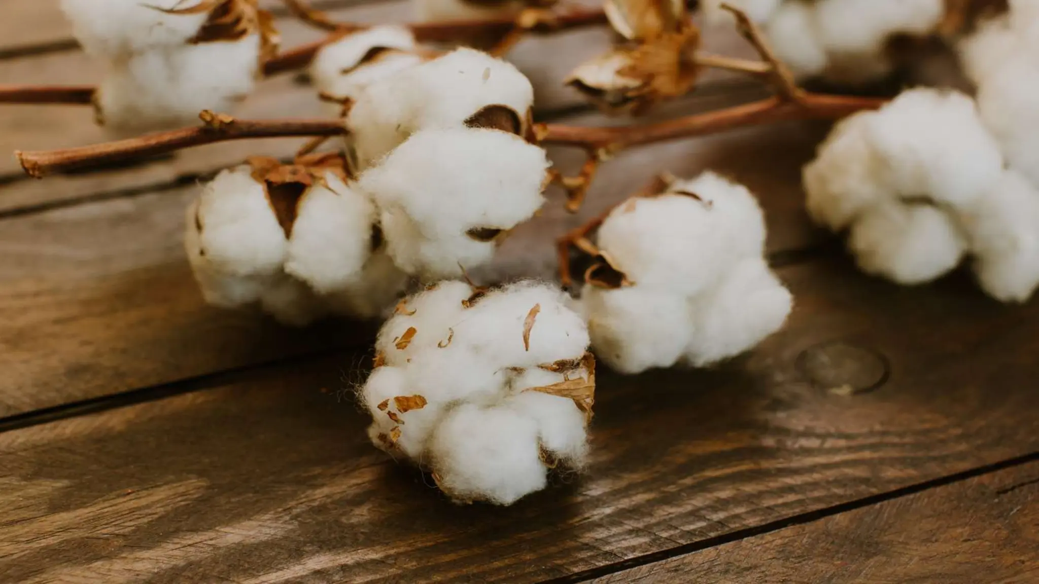 Earthy inspiration on earth for some stuff | PPTX