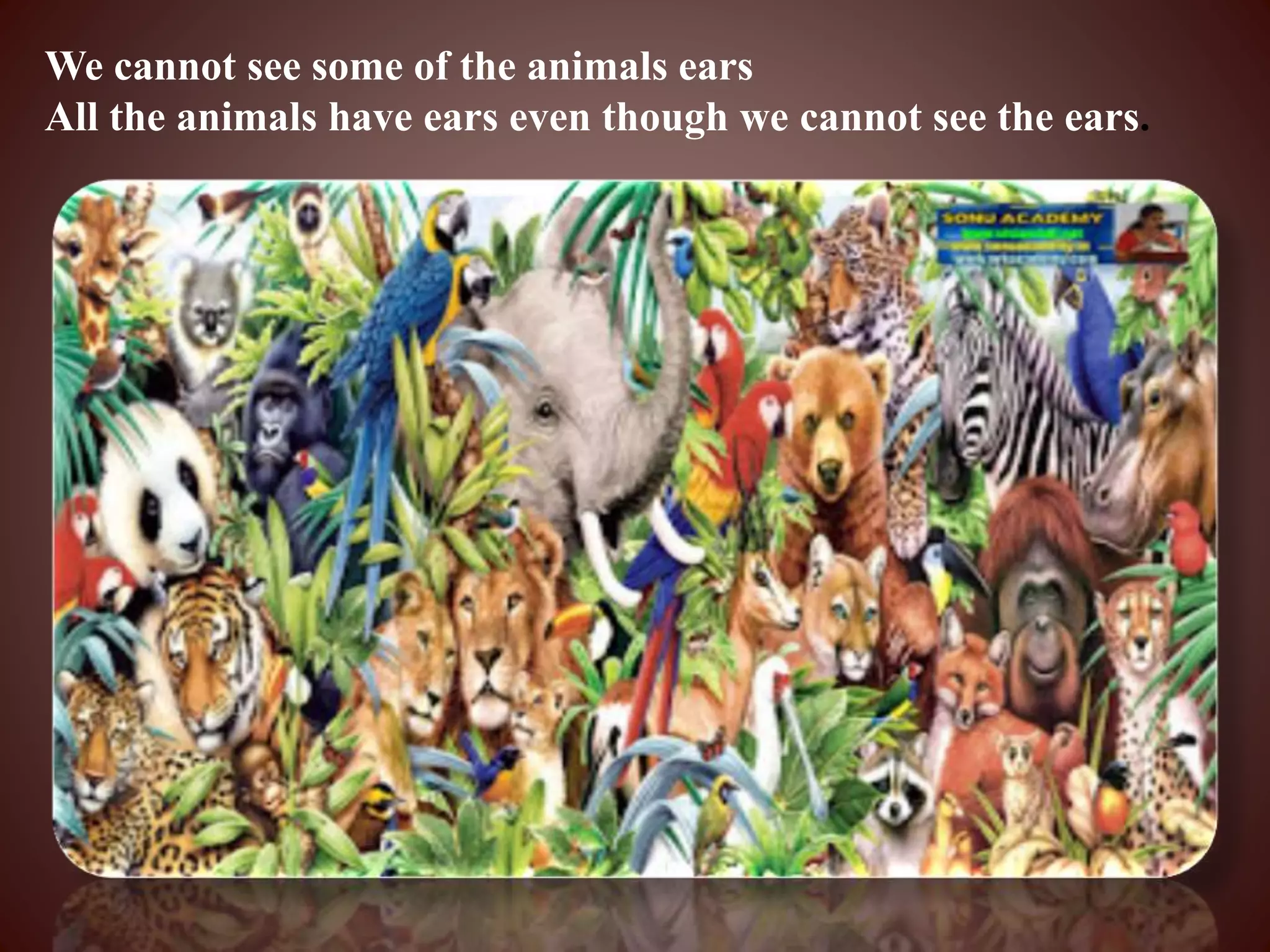 EAR TO EAR ENVIRONMENTAL STUDIES CLASS-IV | PPTX