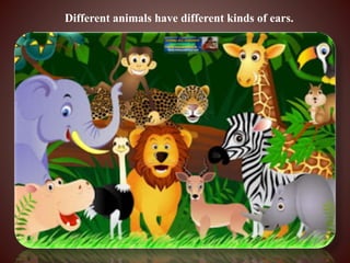 EAR TO EAR ENVIRONMENTAL STUDIES CLASS-IV | PPTX