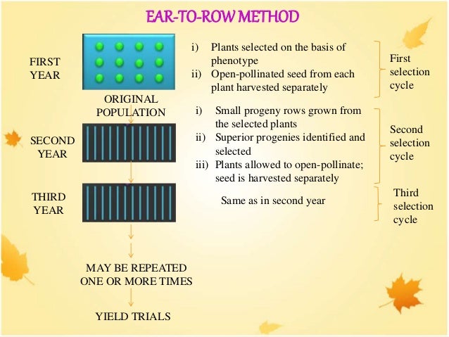 Ear to row method