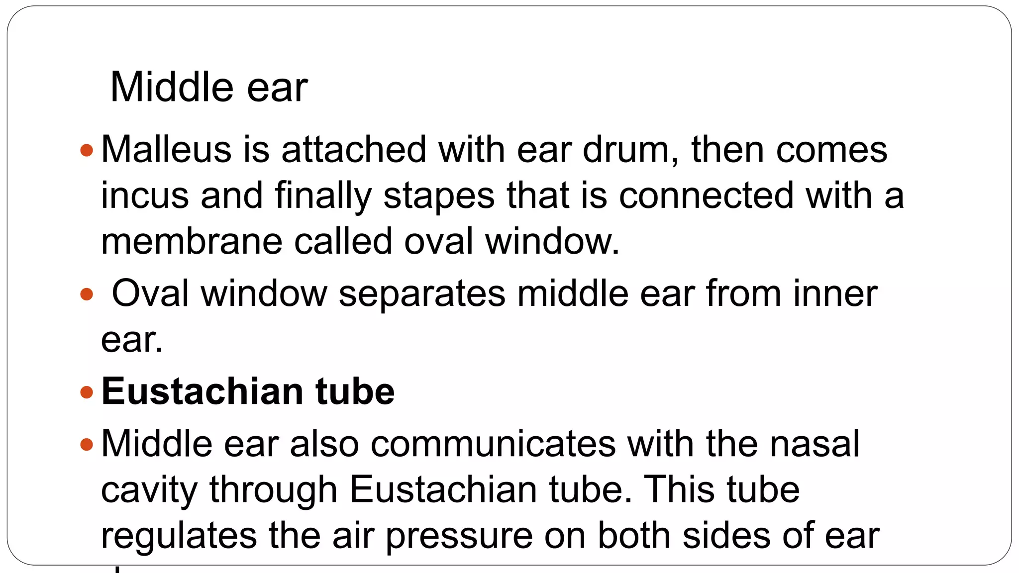 Human Ear | PPT