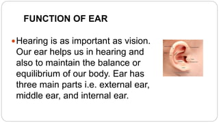 Human Ear | PPT