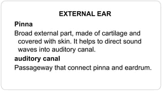Human Ear | PPT