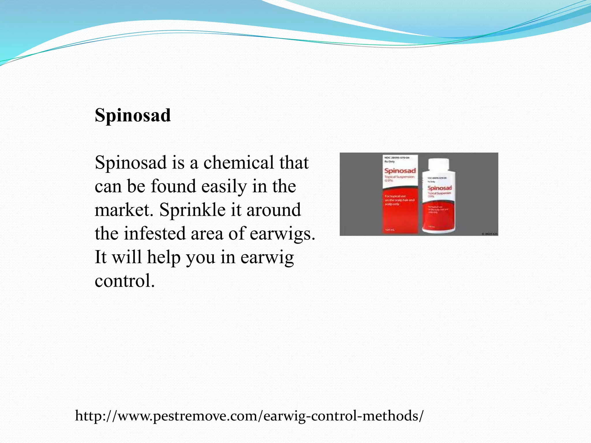 Earwig control methods | PPTX