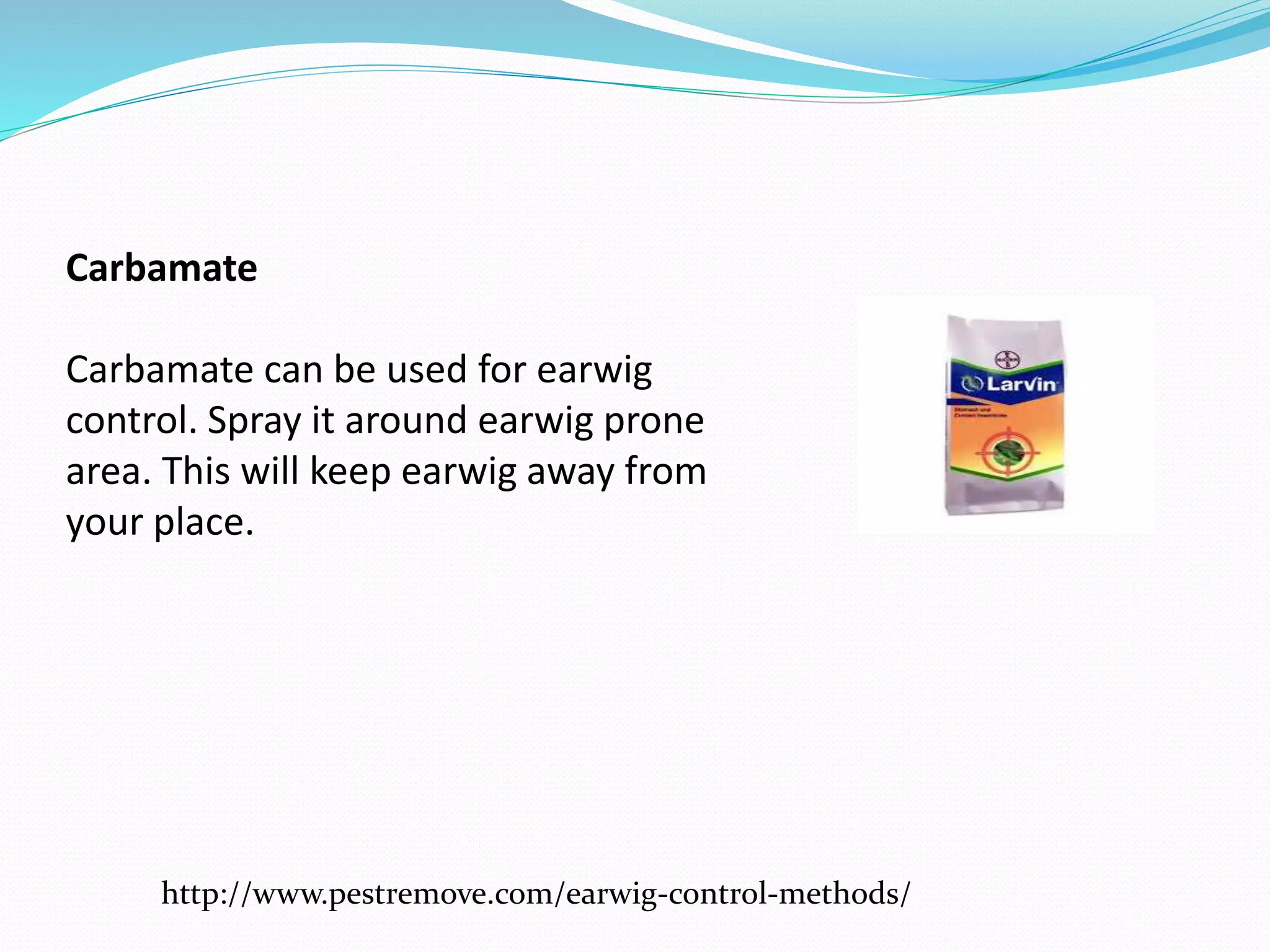Earwig control methods | PPTX