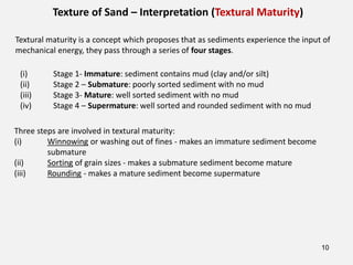 EASC 229 _B_ Sediments and sedimenatry rocks (1).pdf