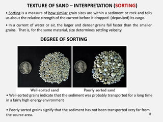 EASC 229 _B_ Sediments and sedimenatry rocks (1).pdf