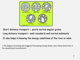 EASC 229 _B_ Sediments and sedimenatry rocks (1).pdf