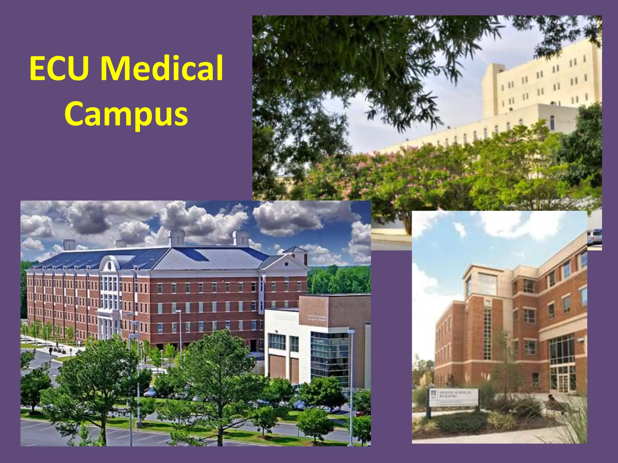 East+carolina+university | PPTX