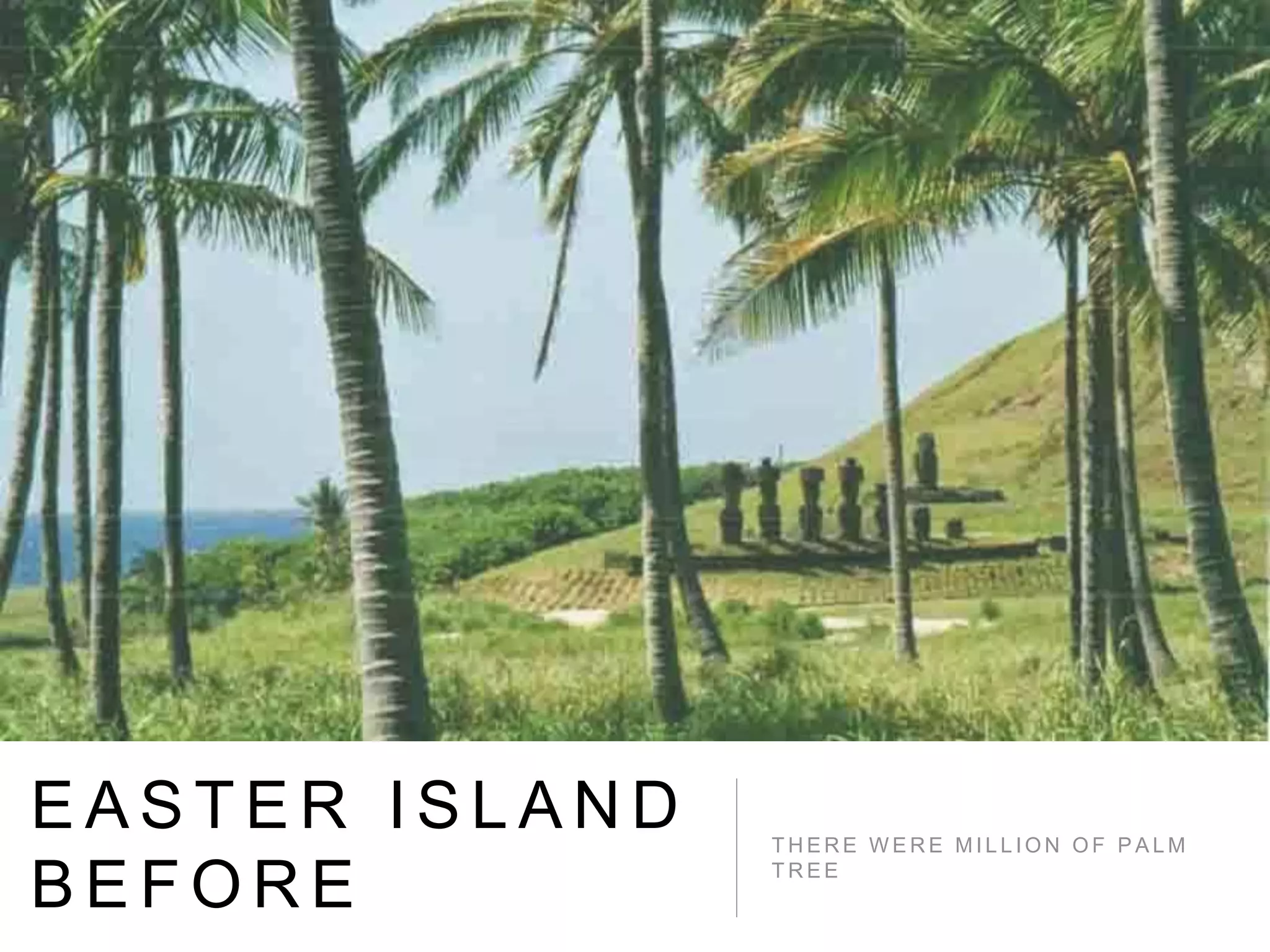 Easter Island Past | PPTX