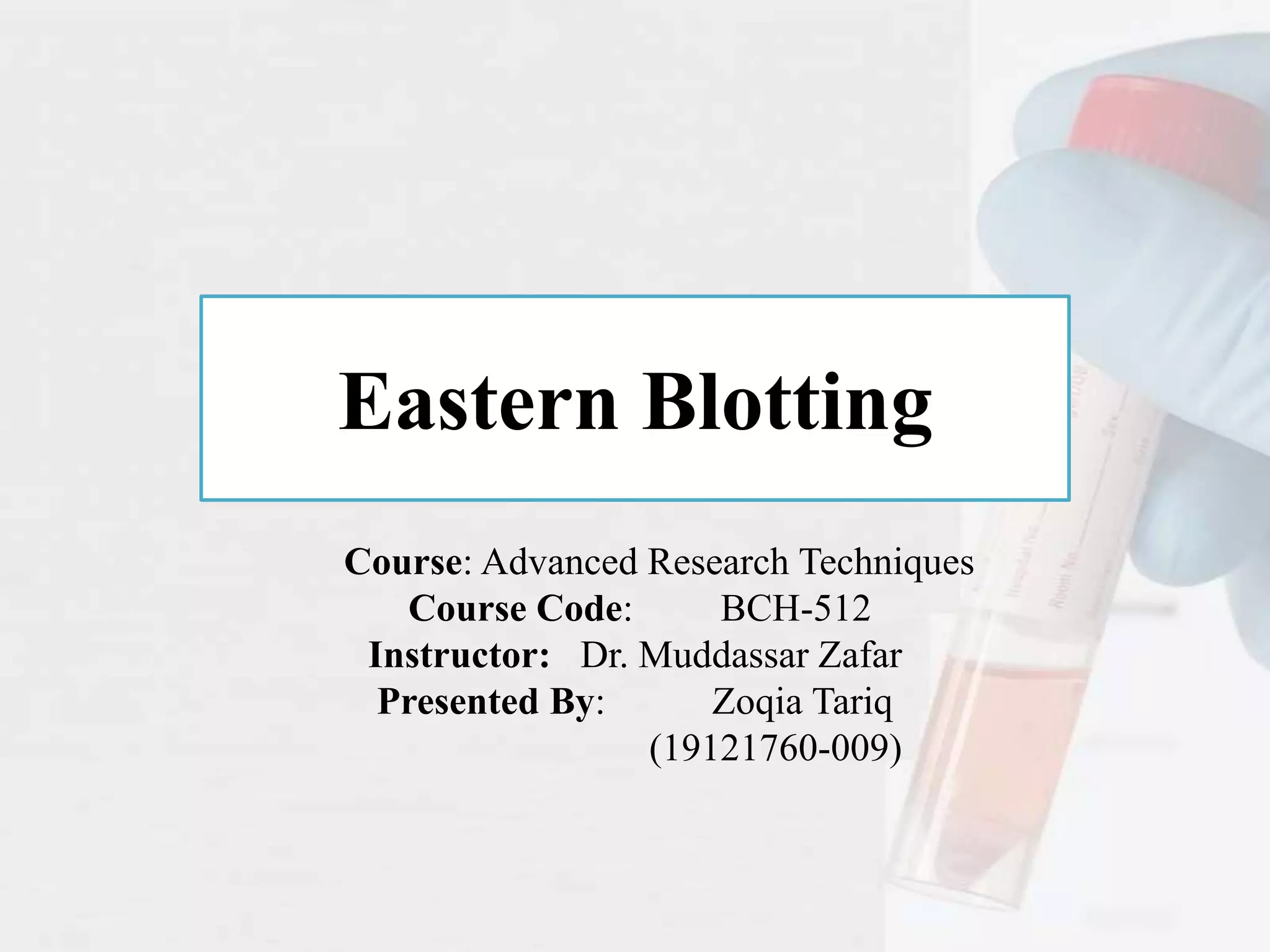 Eastern blotting Technique | PPTX