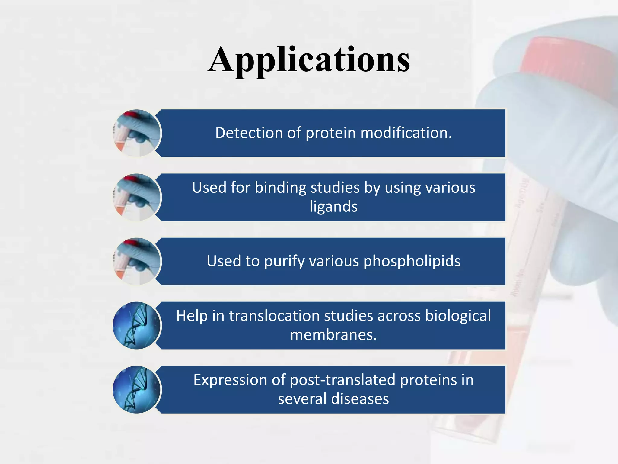 Eastern blotting Technique | PPTX