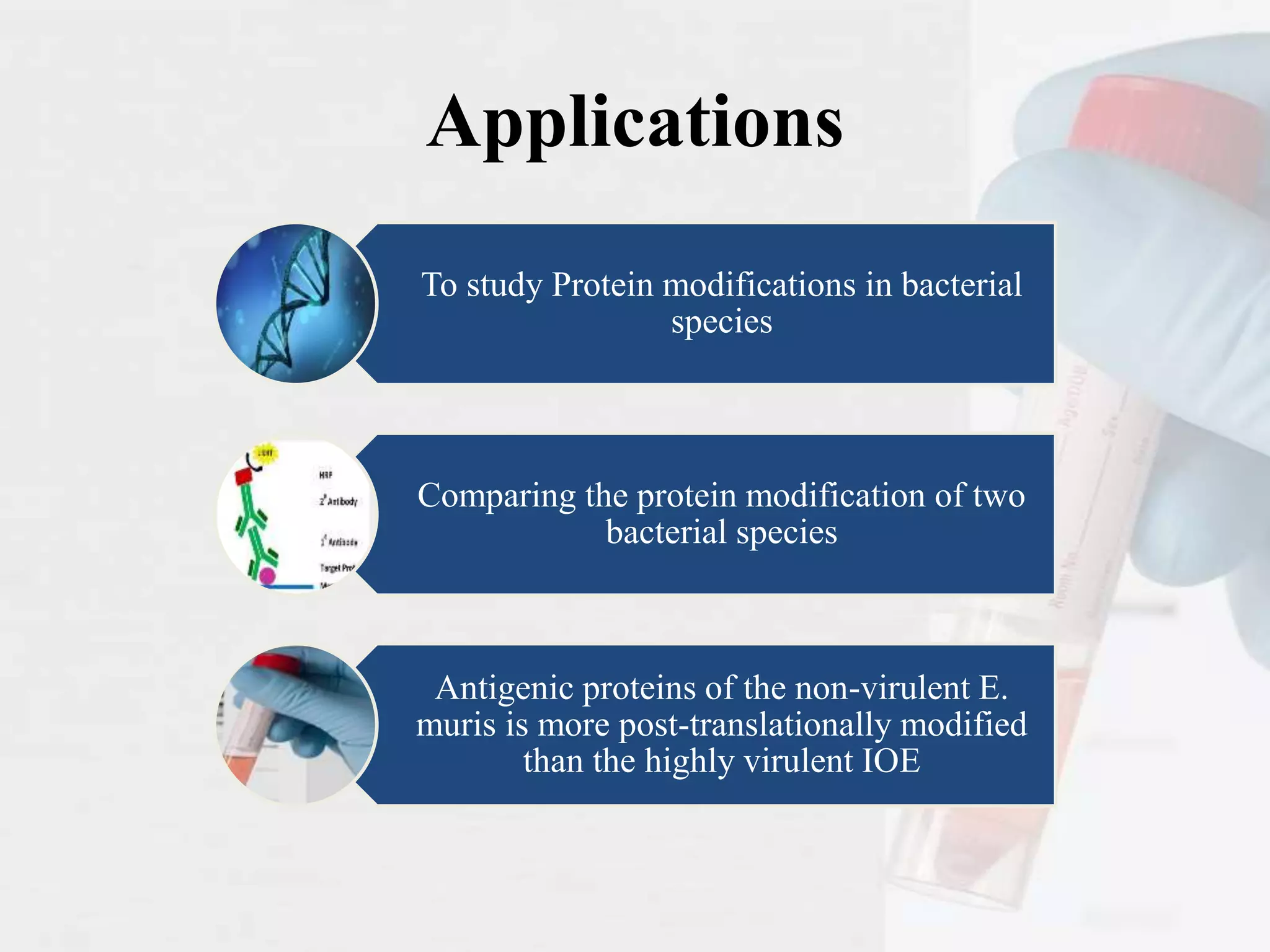 Eastern blotting Technique | PPTX