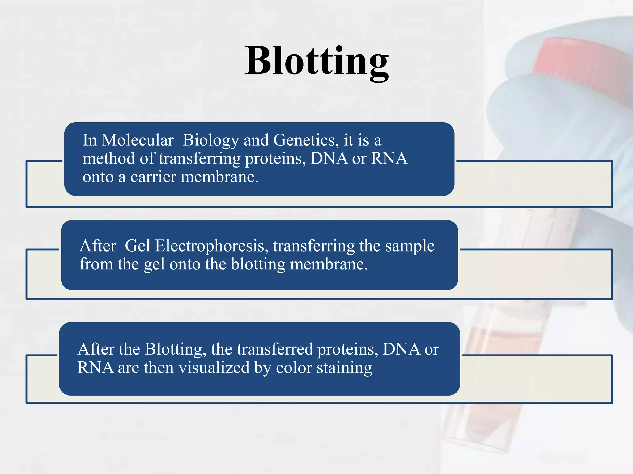 Eastern blotting Technique | PPTX