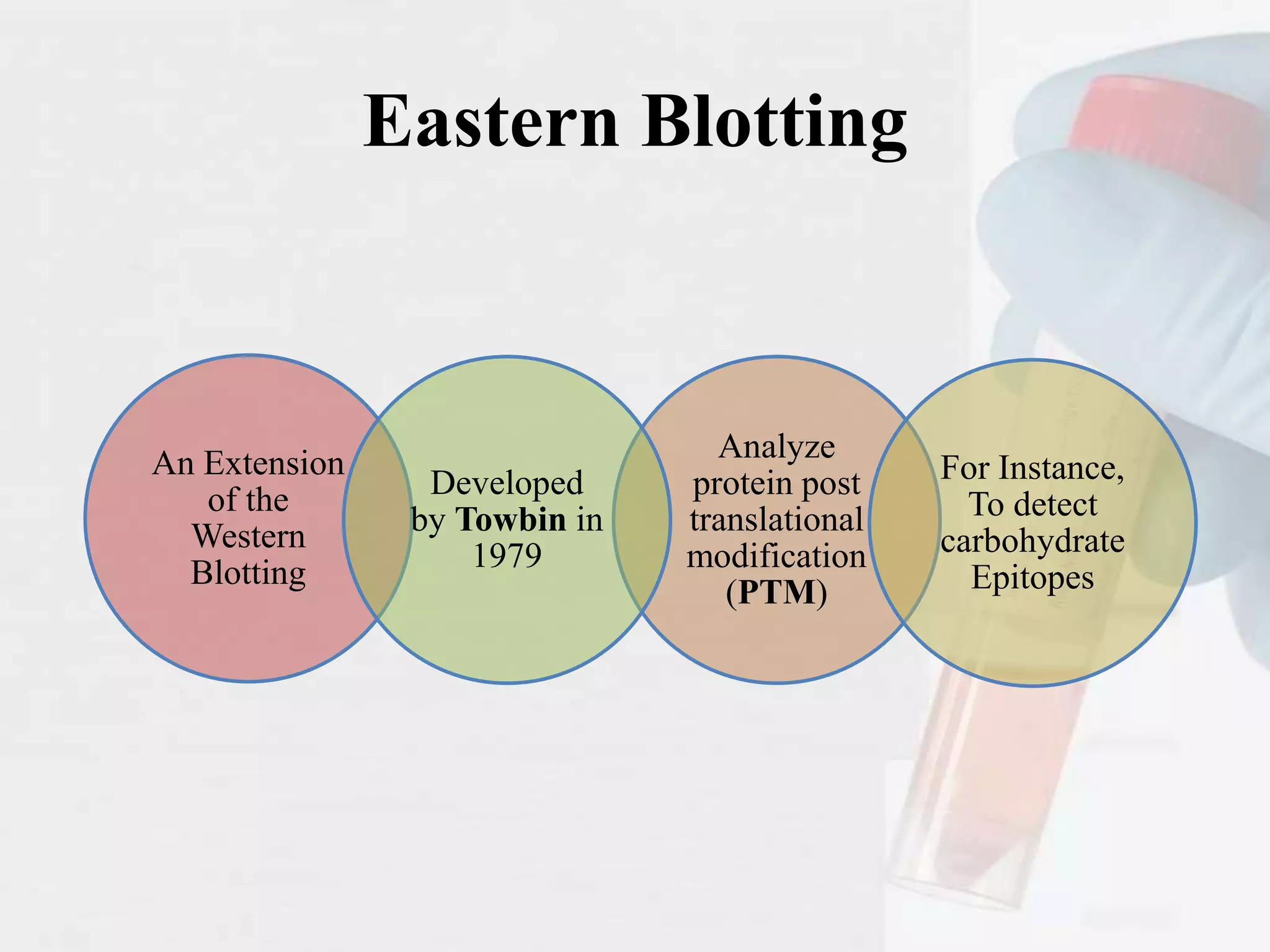 Eastern blotting Technique | PPTX