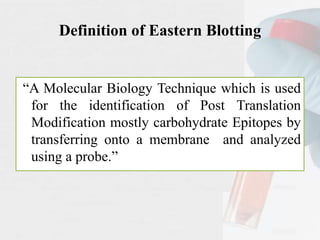 Eastern blotting Technique | PPTX