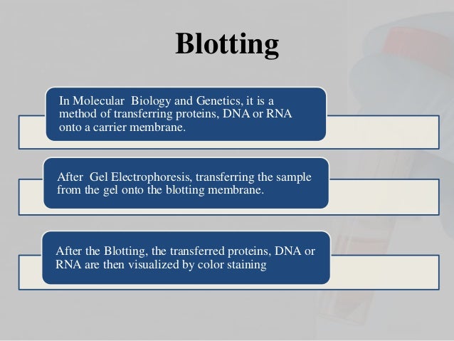 Eastern blot test - tolfchatter