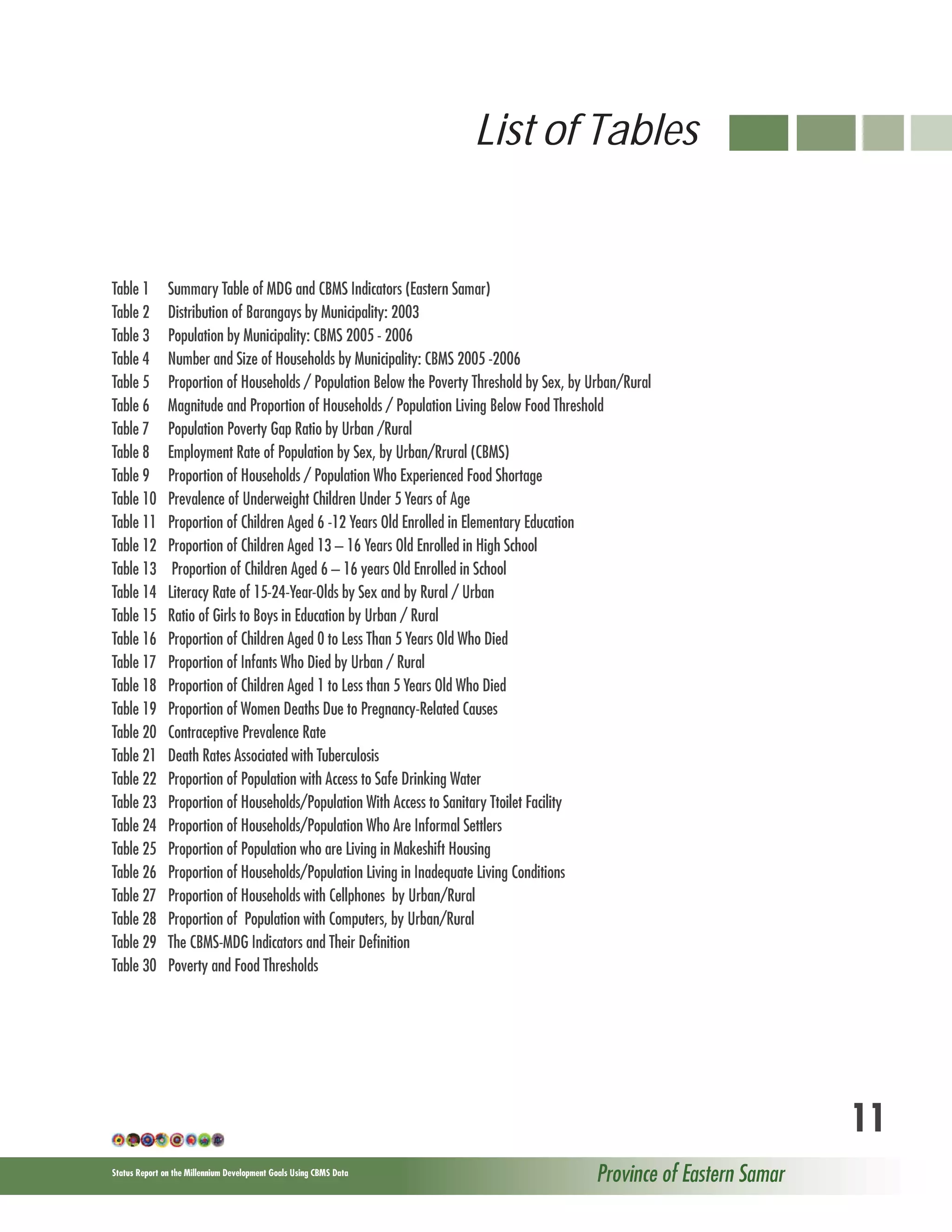 MDGs Provincial Status Report 2010 Philippines Eastern Samar | PDF