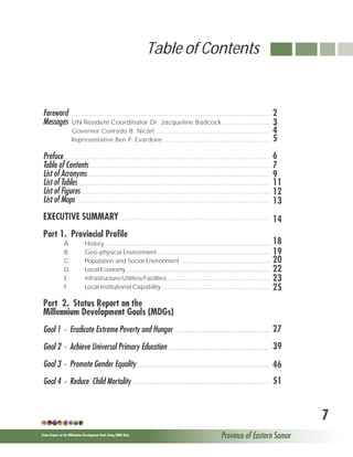 MDGs Provincial Status Report 2010 Philippines Eastern Samar | PDF