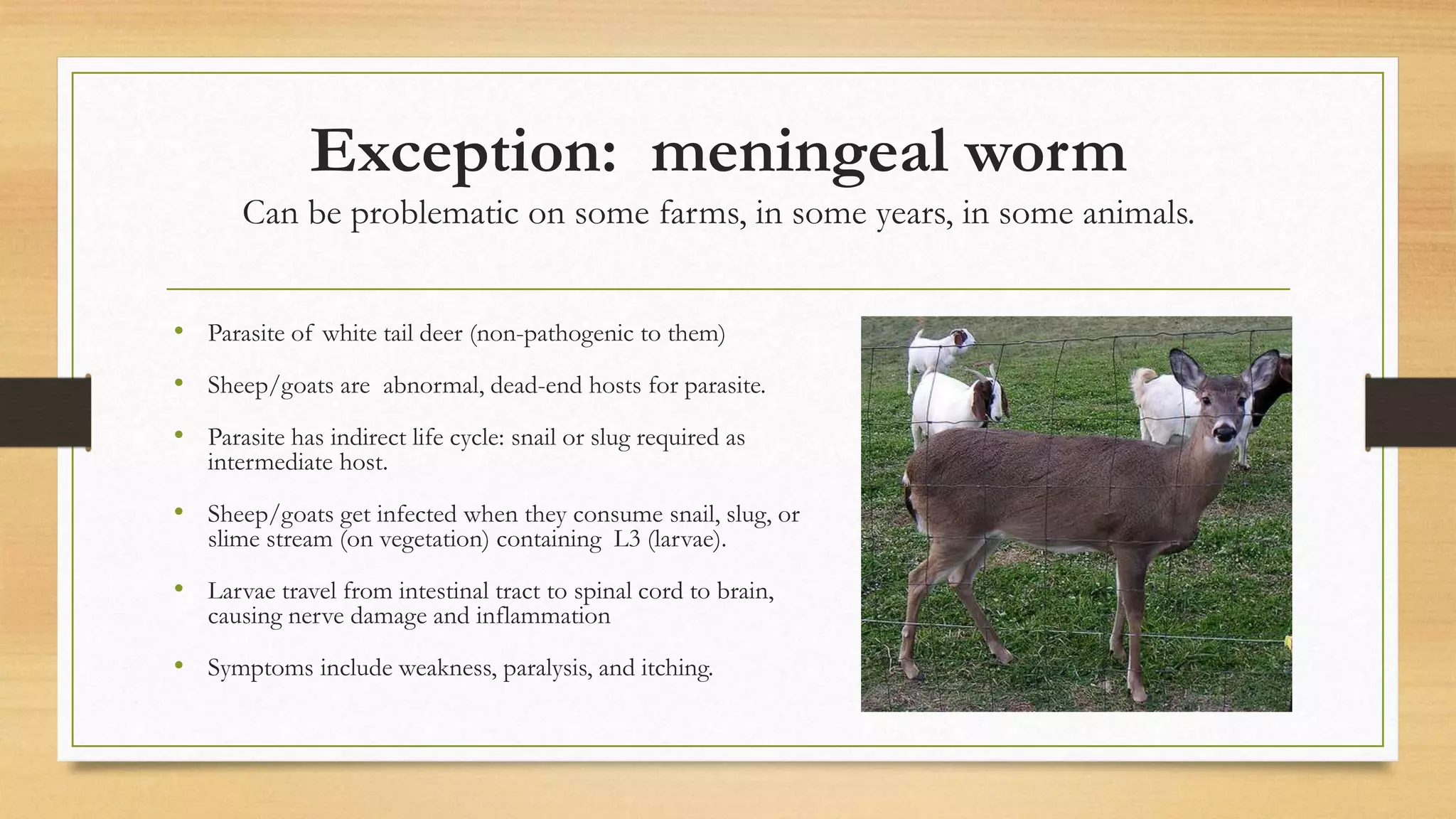 Internal Parasites: What will work in 2018? | PPT | Free Download