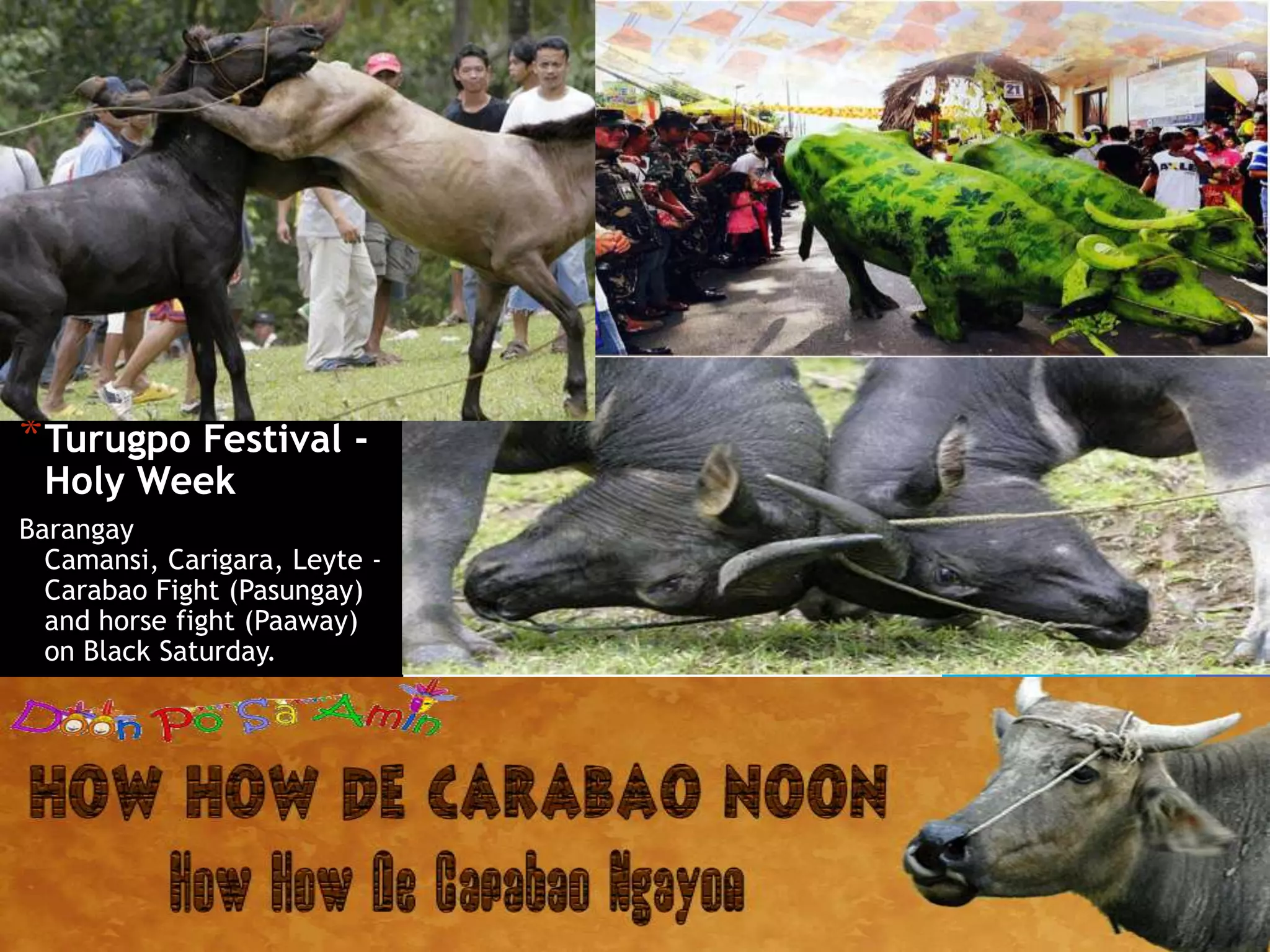 Eastern visayas | PPTX