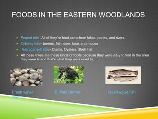 Eastern Woodlands Native Americans | PPTX