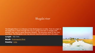 East indian rivers | PPTX