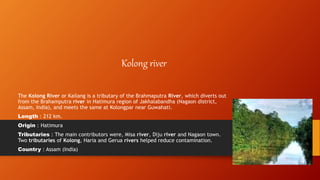 East indian rivers | PPTX