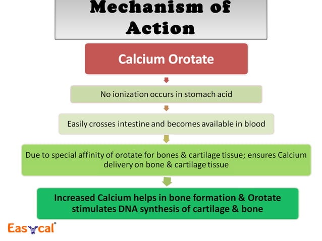 Calcium Orotate Presentation | PPT