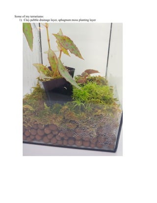 Easy DIY Terrarium Guide | PDF | Gardening | Home & Garden