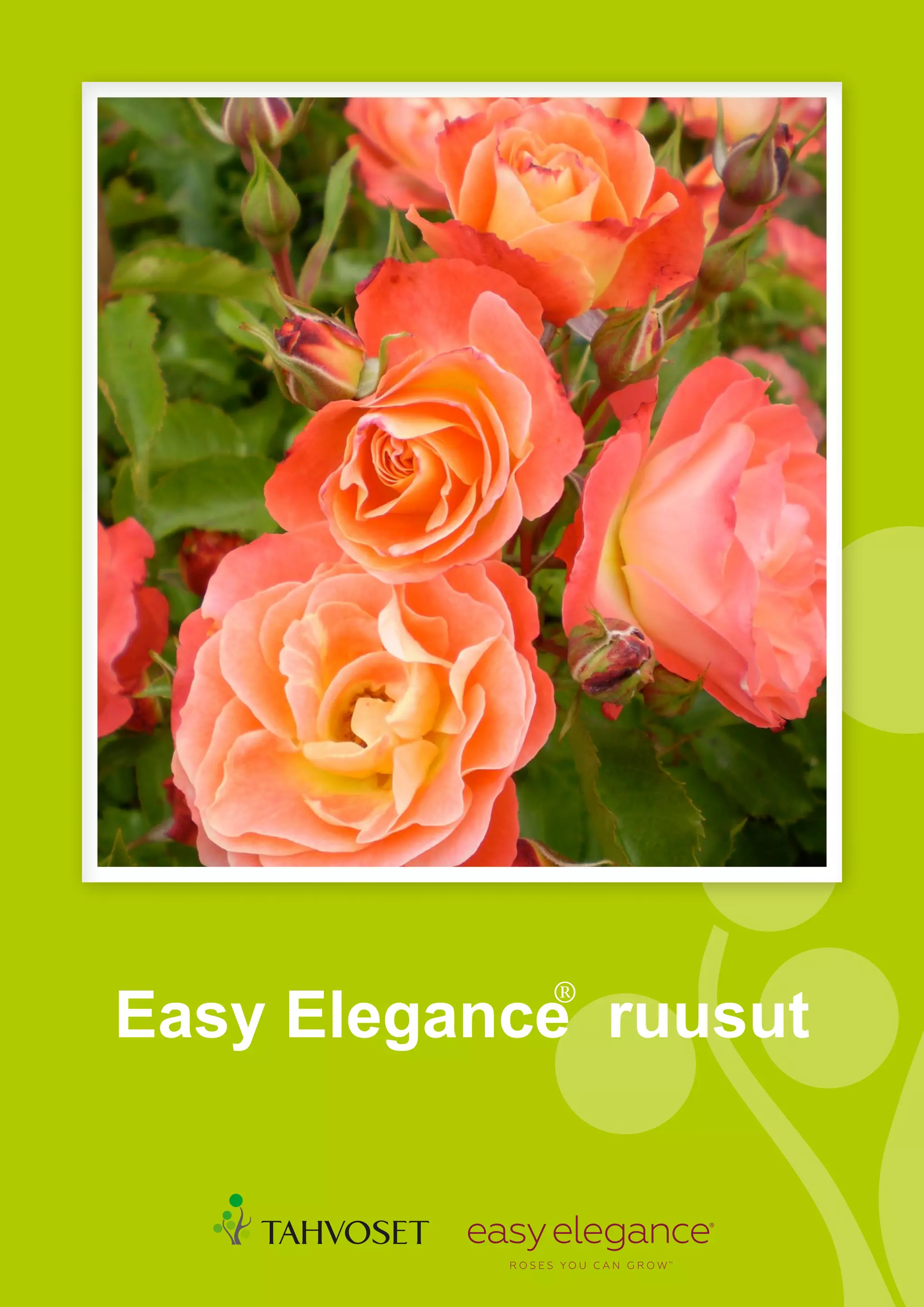 Easy Elegance Ruusut - Puutarha Tahvoset | PDF