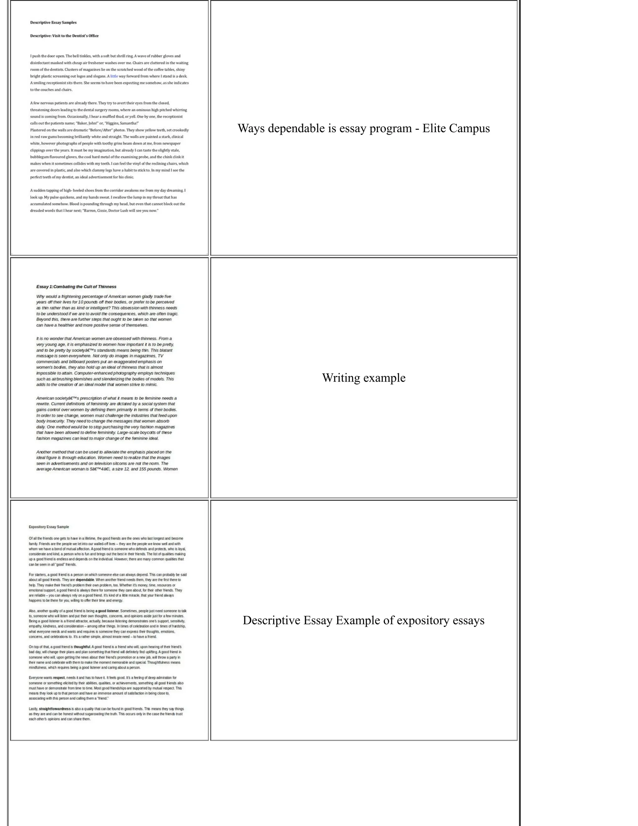 Easy Essay Writing Samples | PDF