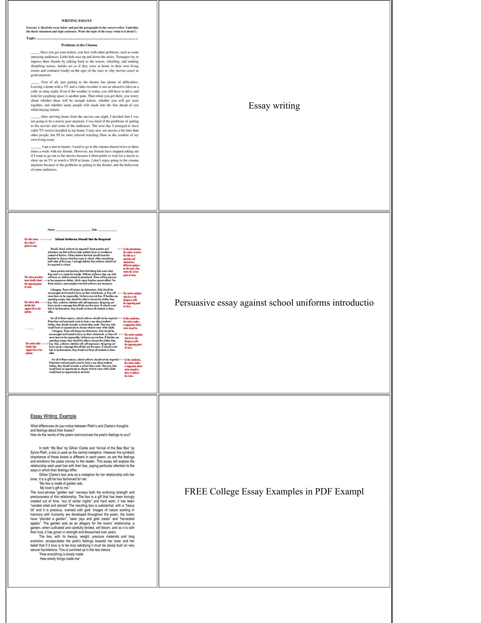 Easy Essay Writing Samples | PDF
