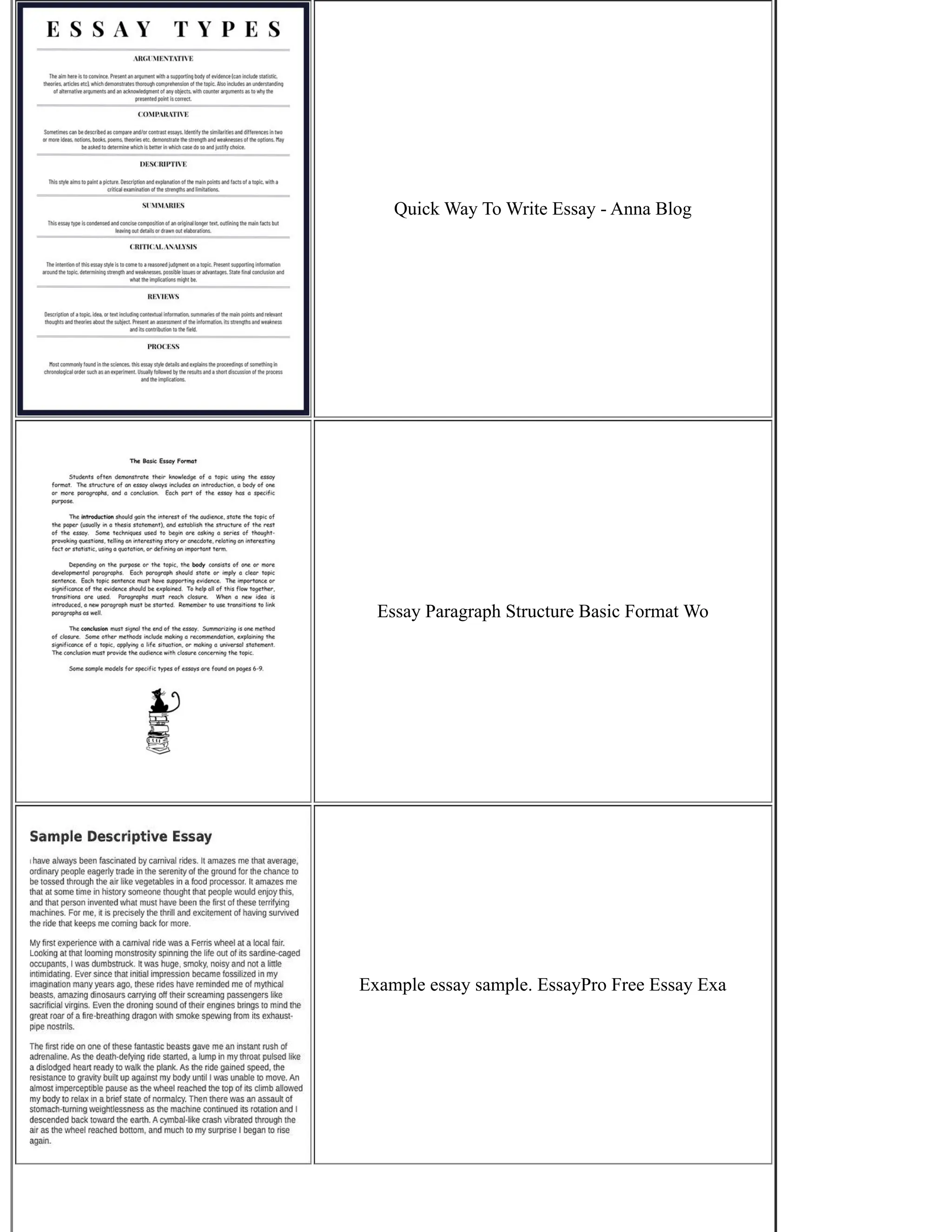 Easy Essay Writing Samples | PDF