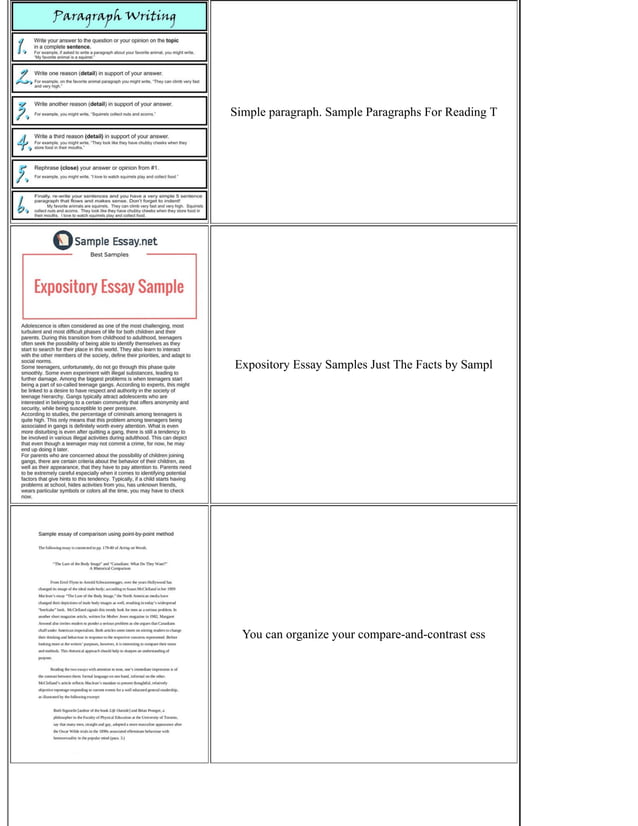 Easy Essay Writing Samples | PDF