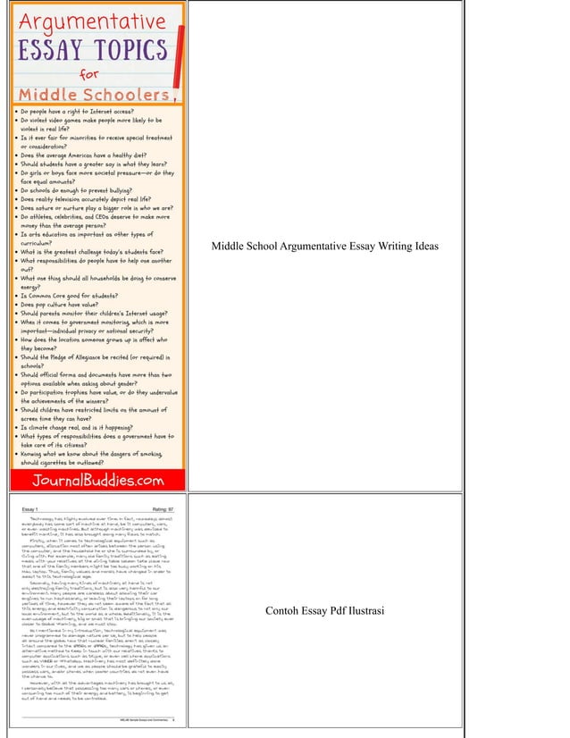 Easy Essay Writing Samples | PDF