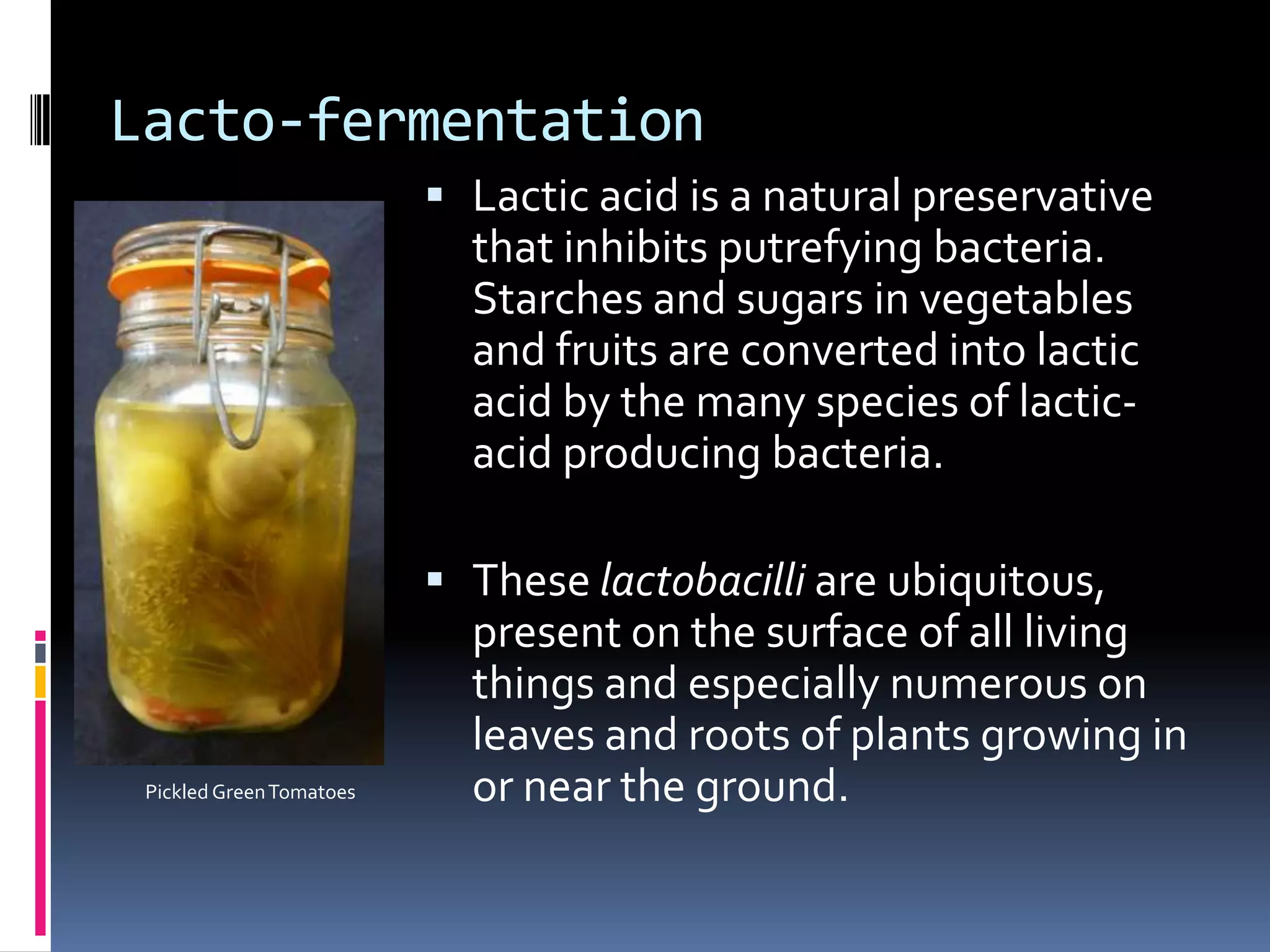 Easy Fermentation | PPT
