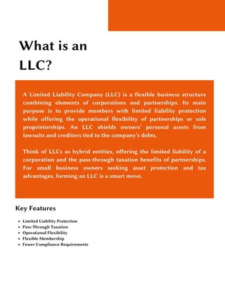 Step by Step to Form LLC in US for Non Resident | PDF