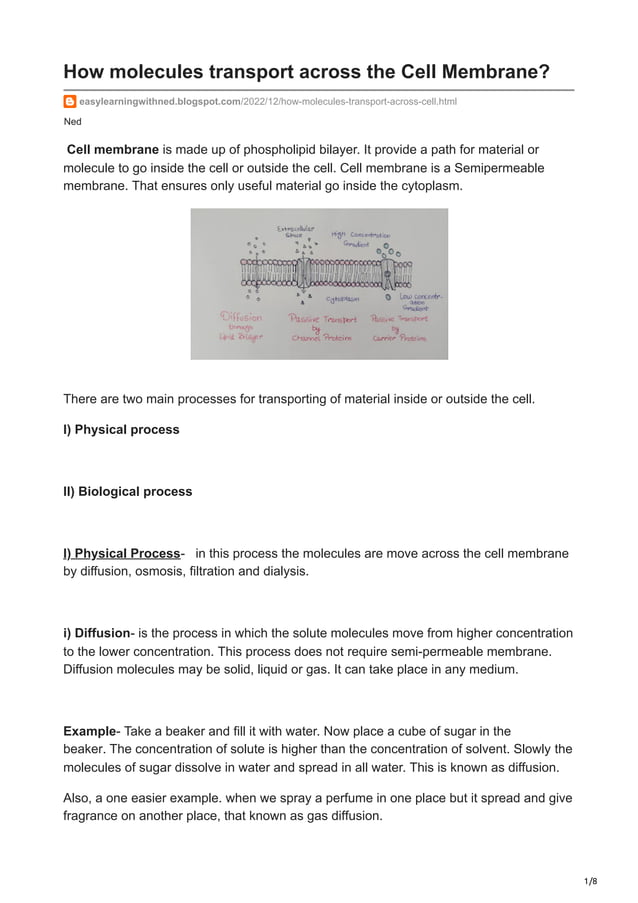 easylearningwithned.blogspot.com-How molecules transport across the ...