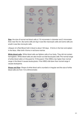 easylearningwithned.blogspot.com-The BLOOD.pdf