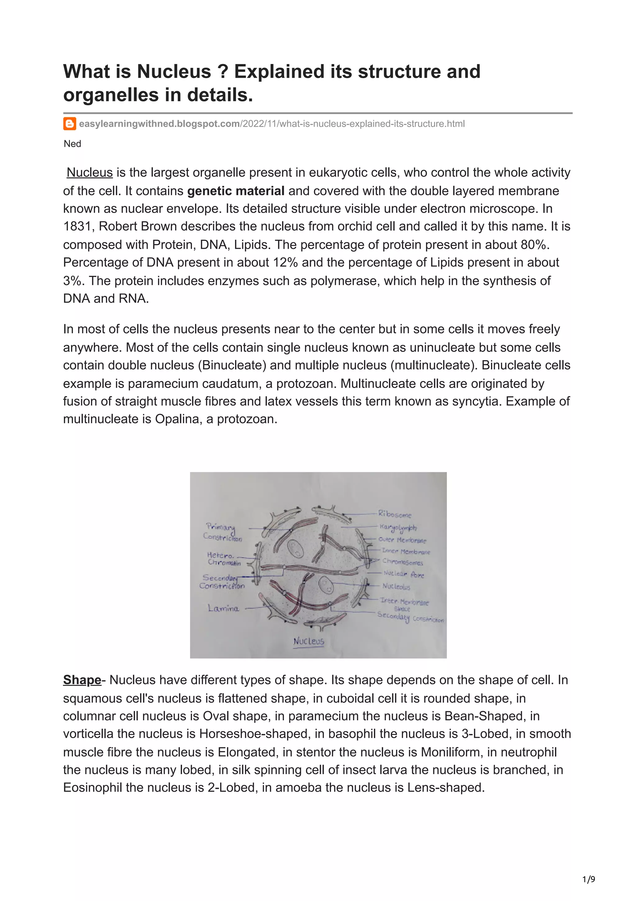 easylearningwithned.blogspot.com-What is Nucleus Explained its structure and organelles in ...