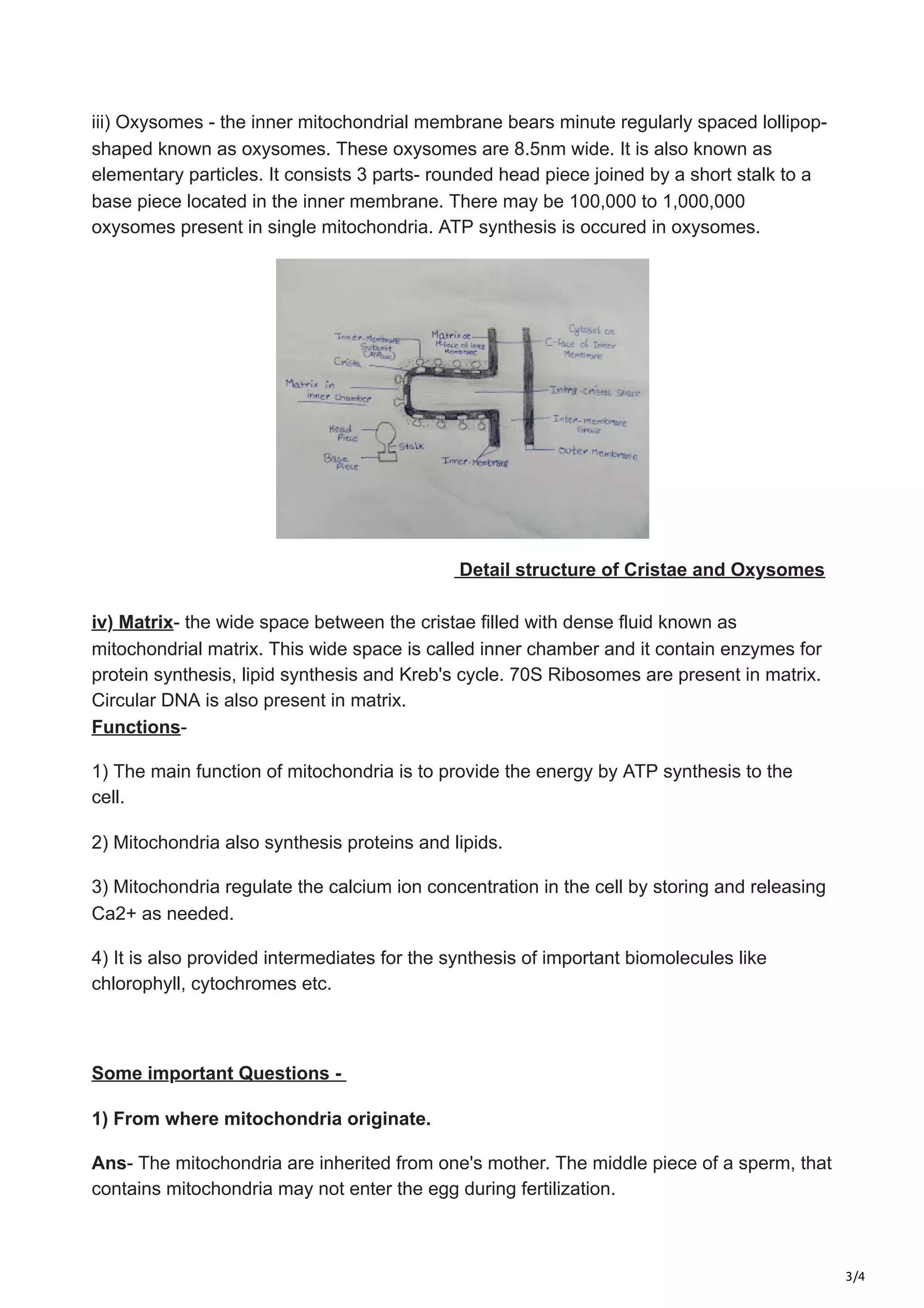 easylearningwithned.blogspot.com-What are Mitochondria Structure and ...