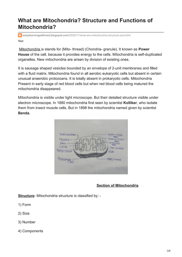 easylearningwithned.blogspot.com-What are Mitochondria Structure and Functions of Mitochondria.pdf