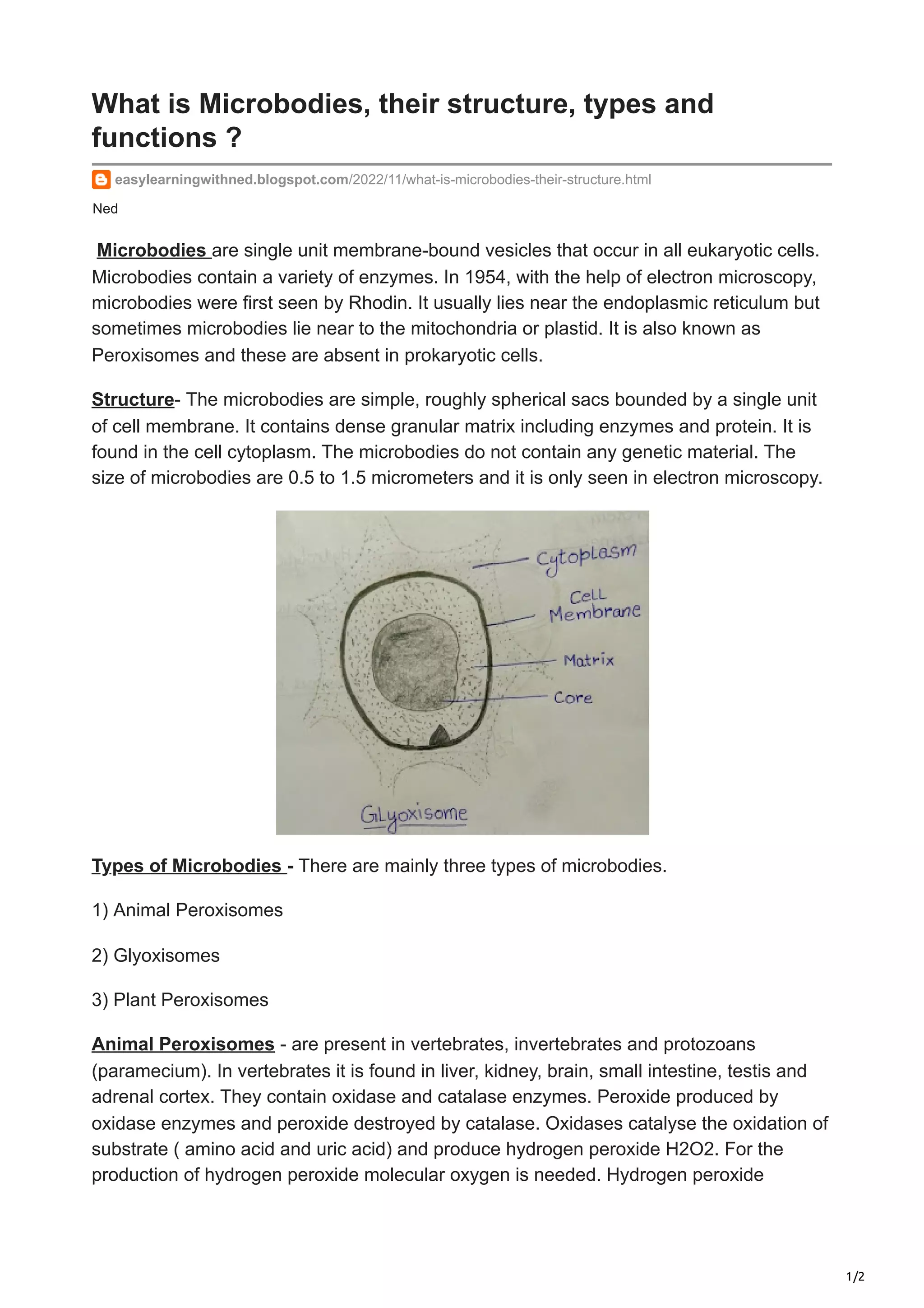 easylearningwithned.blogspot.com-What is Microbodies their structure ...