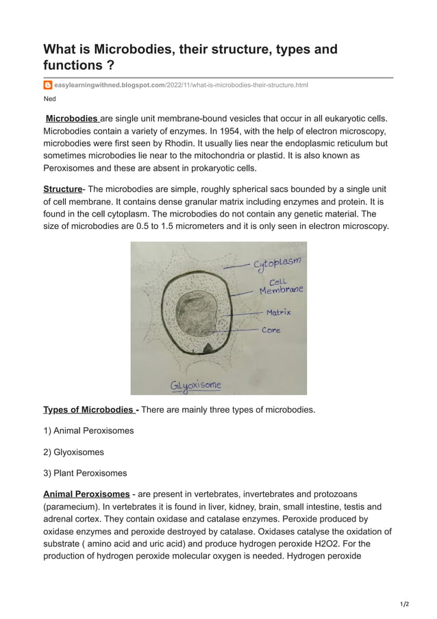 easylearningwithned.blogspot.com-What is Microbodies their structure ...