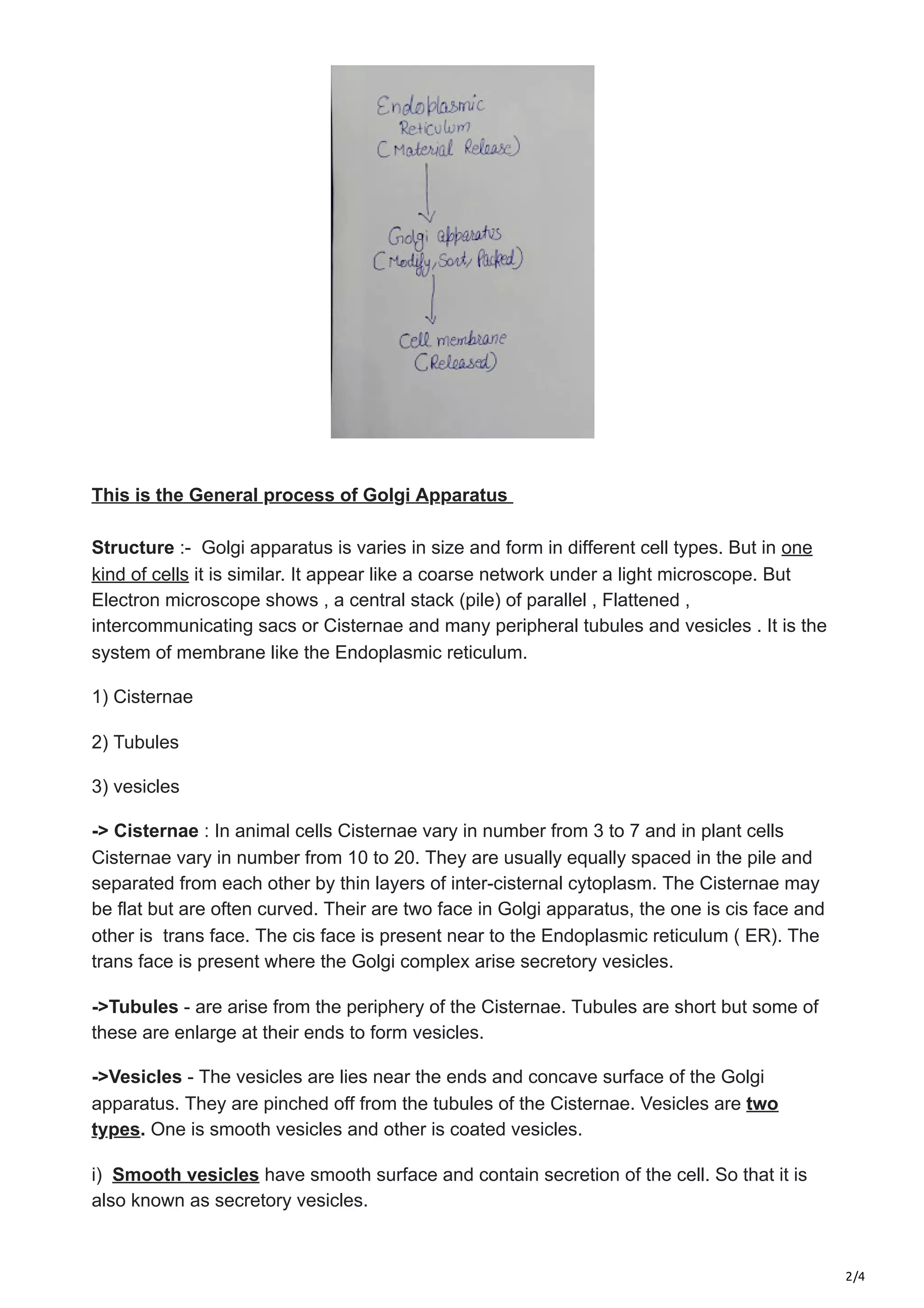 easylearningwithned.blogspot.com-What is Golgi Apparatus Location ...